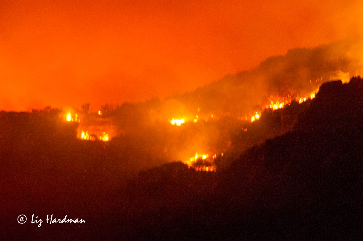 Fire: Regenerating Fynbos – Nature on the Edge