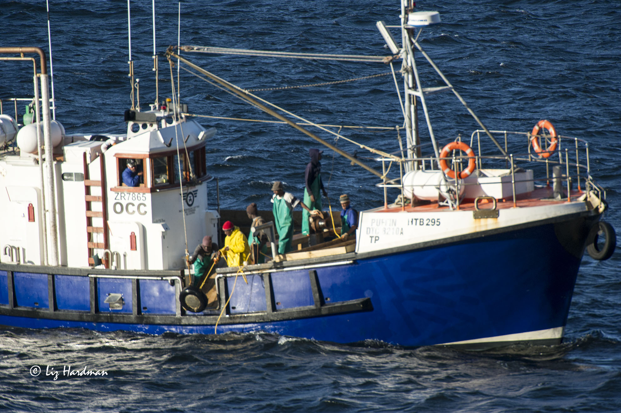The perilous seas around Cape Point – False Bay – Nature on the Edge